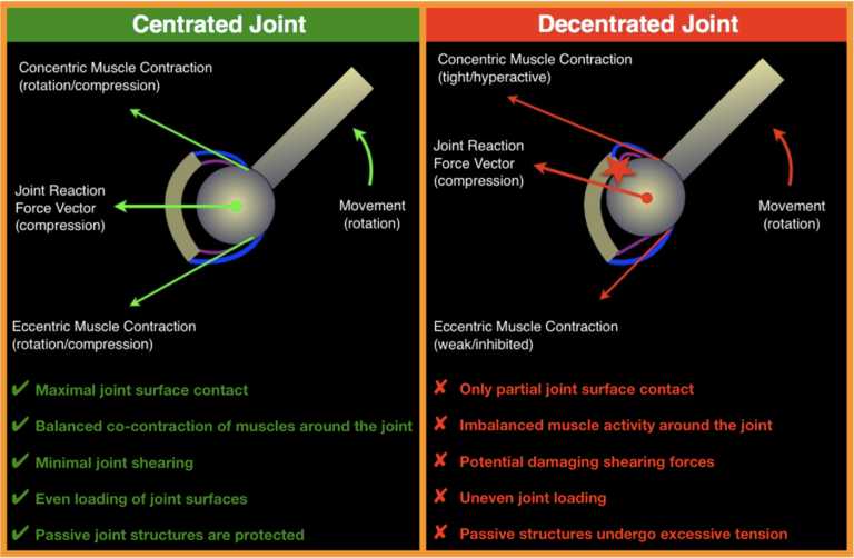 Understanding Joint Centration: The Key to Optimal Movement and Health ...